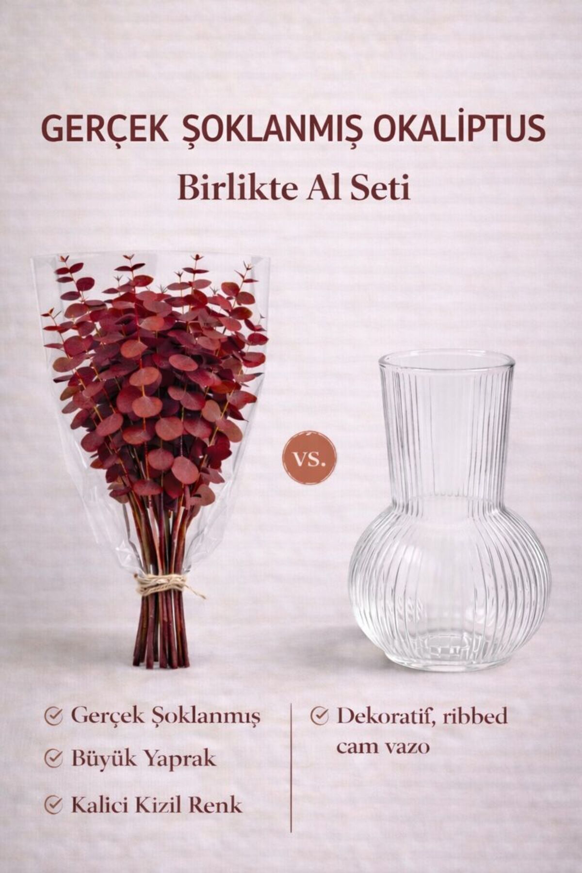 Bontia Kızıl Şoklanmış Gerçek Okaliptüs ve Cam Vazo Seti – Doğal Kokulu ...