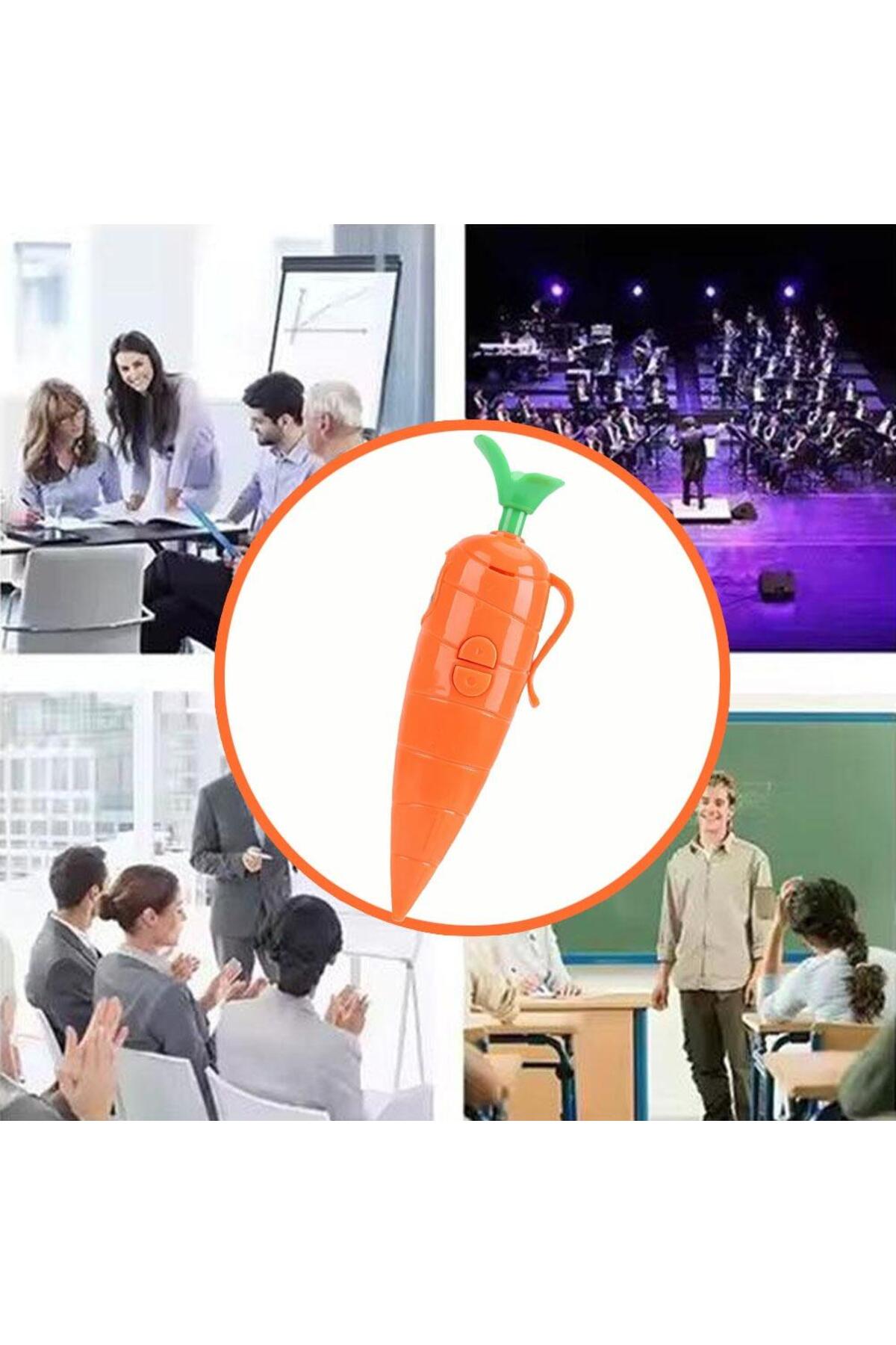 Choice A 2026 new Carrot Voice Recorder Electronic Sound Toy Can Write ...