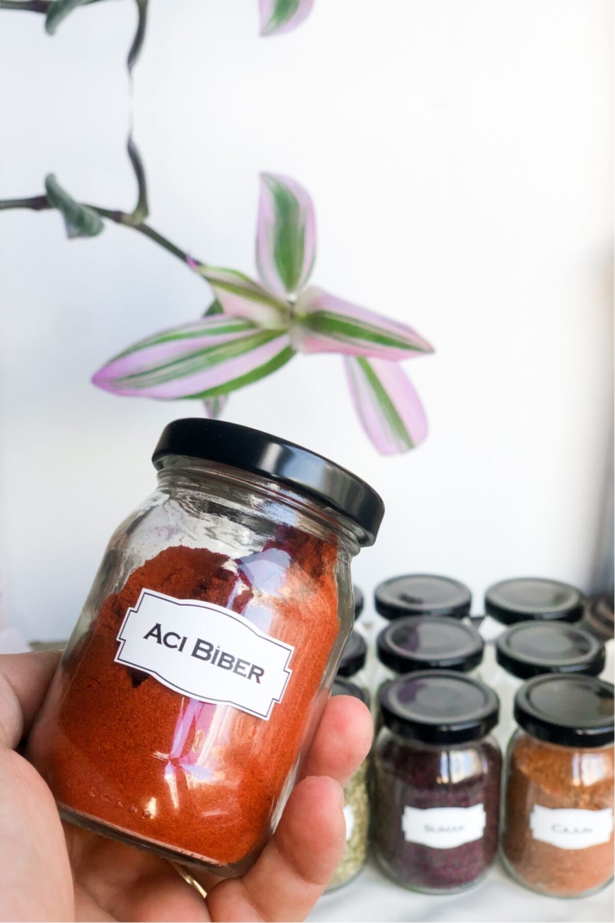 Sezka Life 12'li Metal Kapaklı Bambu Kaşıklı Cam Kavanoz Baharatlık Ve ...