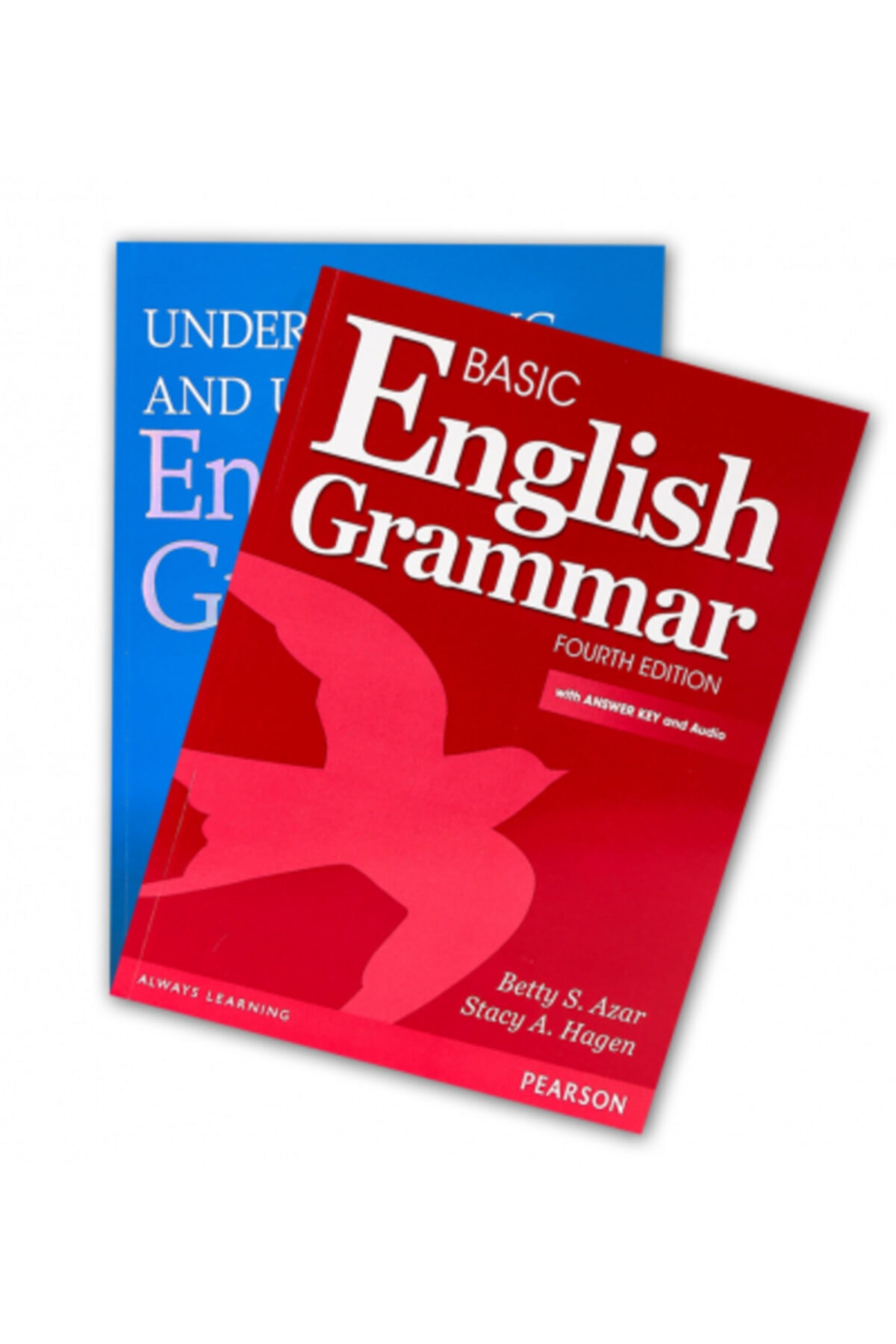Pearson Education Yayıncılık Understanding And Using English Grammar & Basic English Grammar ...