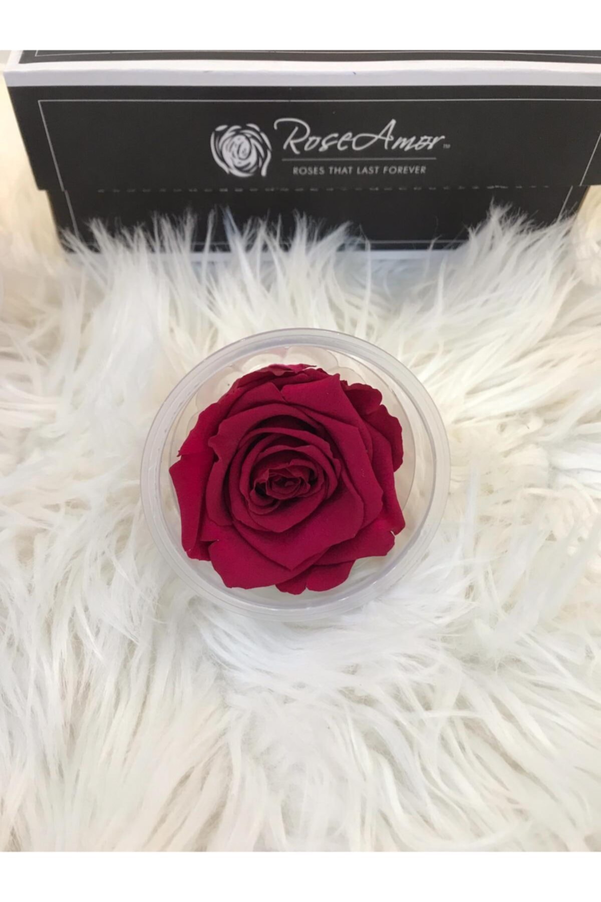 Rose Amor Solmayan Xl Canlı Gül Bordo Fiyatı, Yorumları - Trendyol