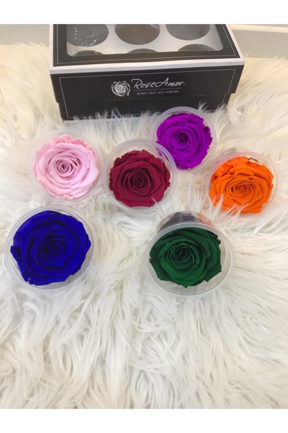 Rose Amor Solmayan Xl Canlı Gül Bordo Fiyatı, Yorumları - Trendyol