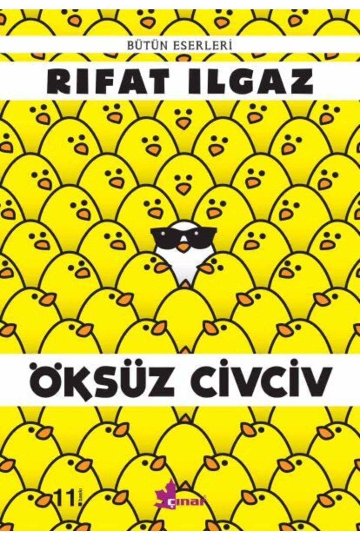 Genel Markalar Kıda K02 Öksüz Civciv - Fiyatı, Yorumları