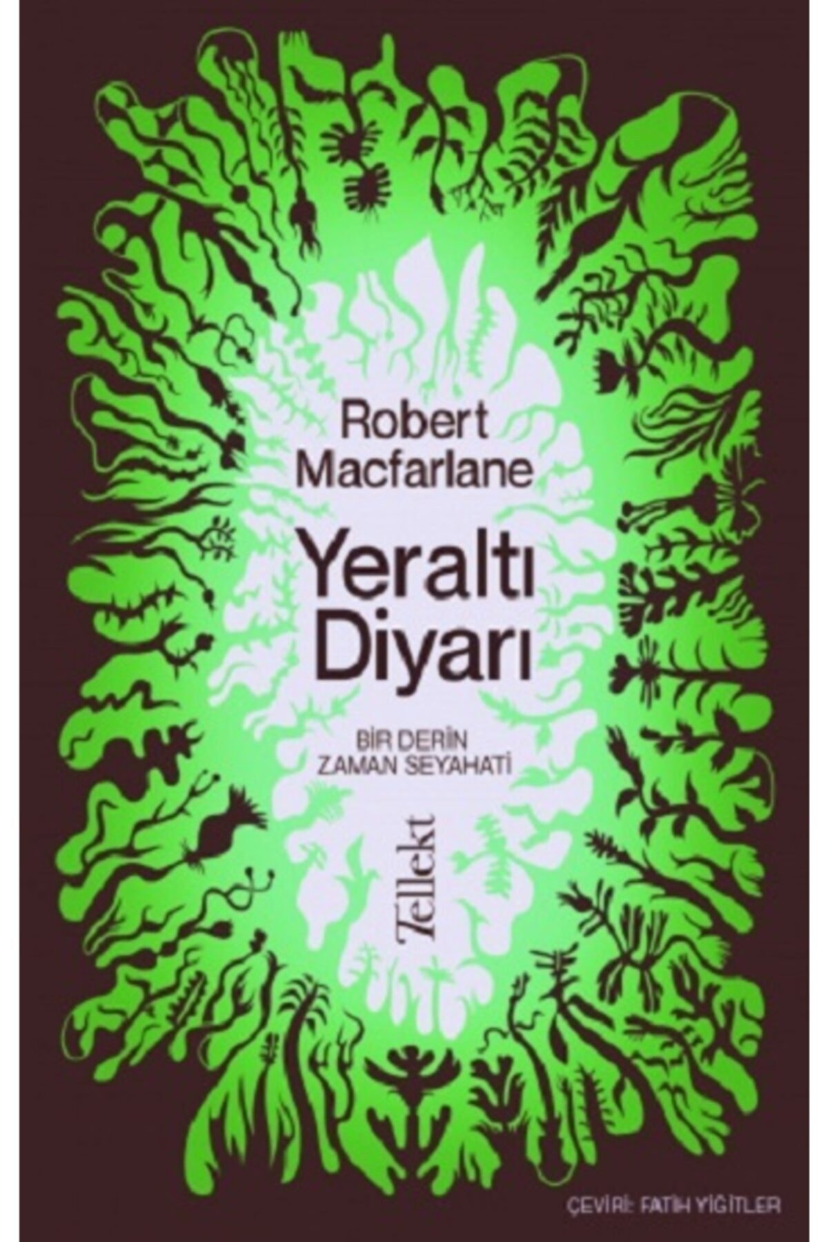 Genel Markalar Yeraltı Diyarı: Bir Derin Zaman Seyahati Robert ...