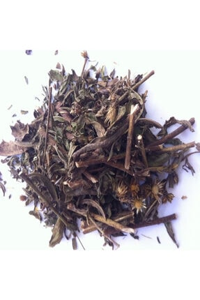 🌿 Yapışkan Andız Otu ile Sağlıklı Yaşam İçin Bilgi Edinin!
