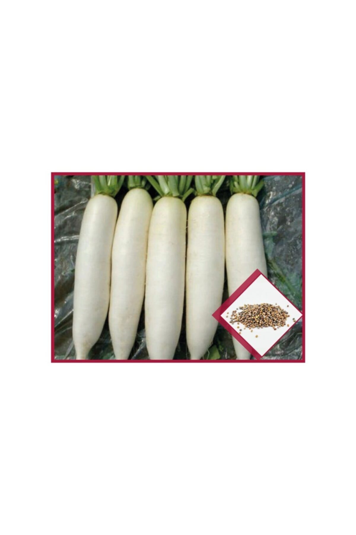 Arzuman Tohum Arzuman Ithal Japon Turp Sebze Tohumu 10 Gram Fiyatı, Yorumları - Trendyol