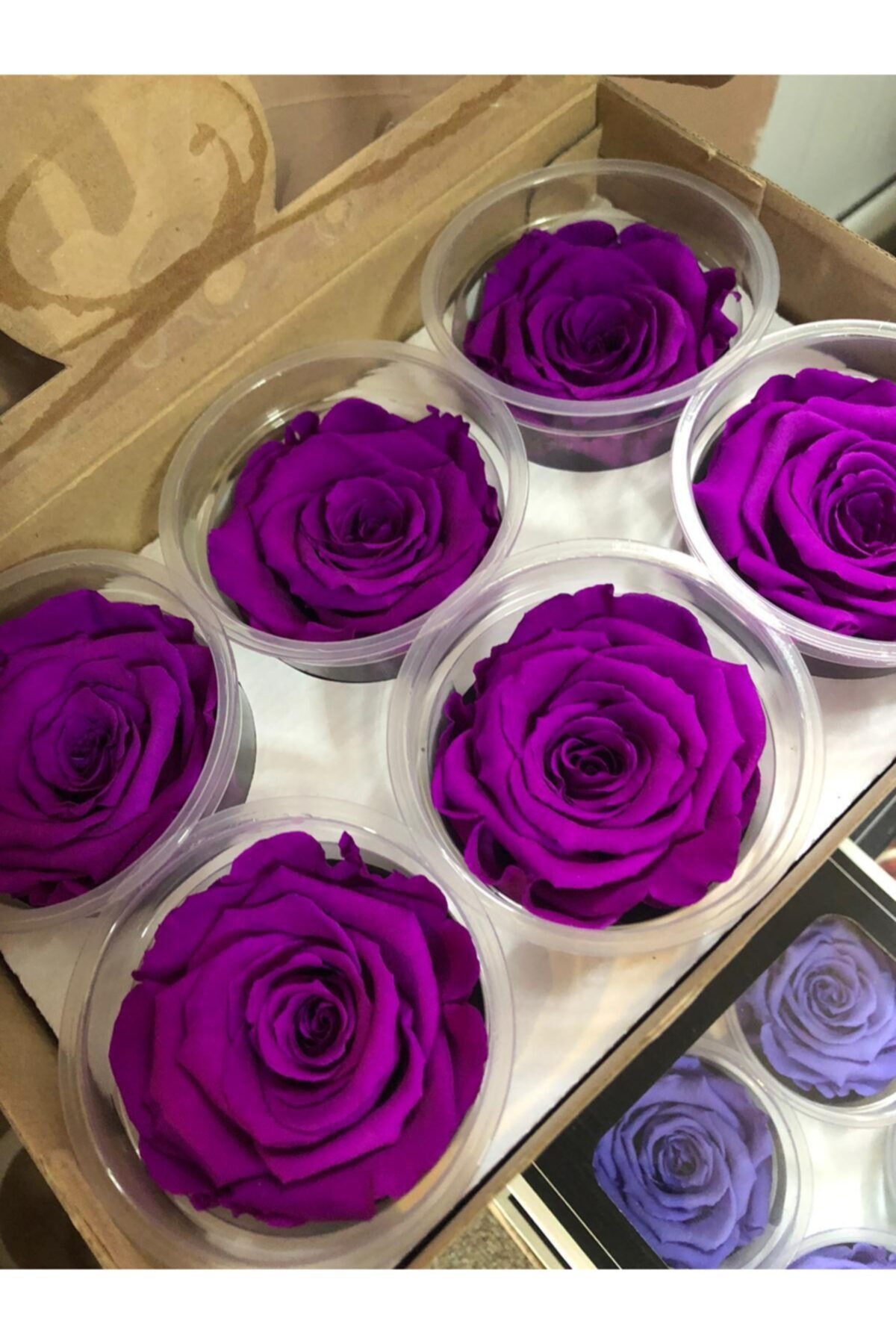 Rose Amor Solmayan Gül 6lı Xl Fiyatı, Yorumları - Trendyol