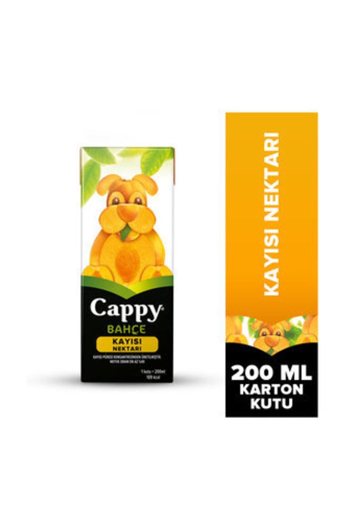 Cappy Kayısı 200 ml - Fiyatı, Yorumları