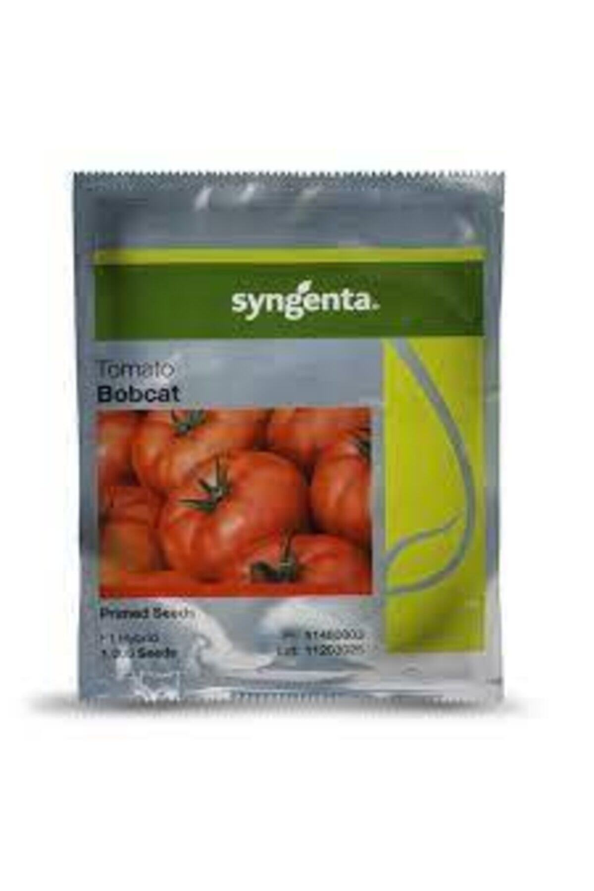 Dörtbudak Domates Tohumu Tomato Bobcat Domates Tohumu F1 1000 Adet ...