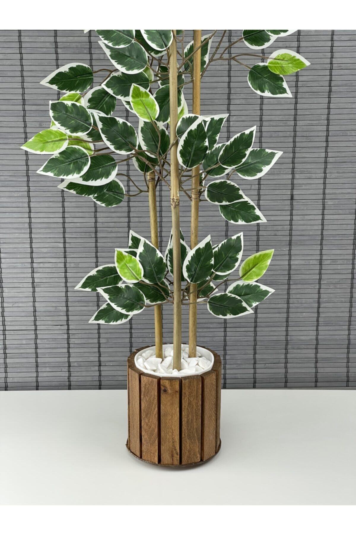 Bahçem Yapay Yoğun Yapraklı Dekoratif Benjamin Ağacı Ahşap Saksılı ...