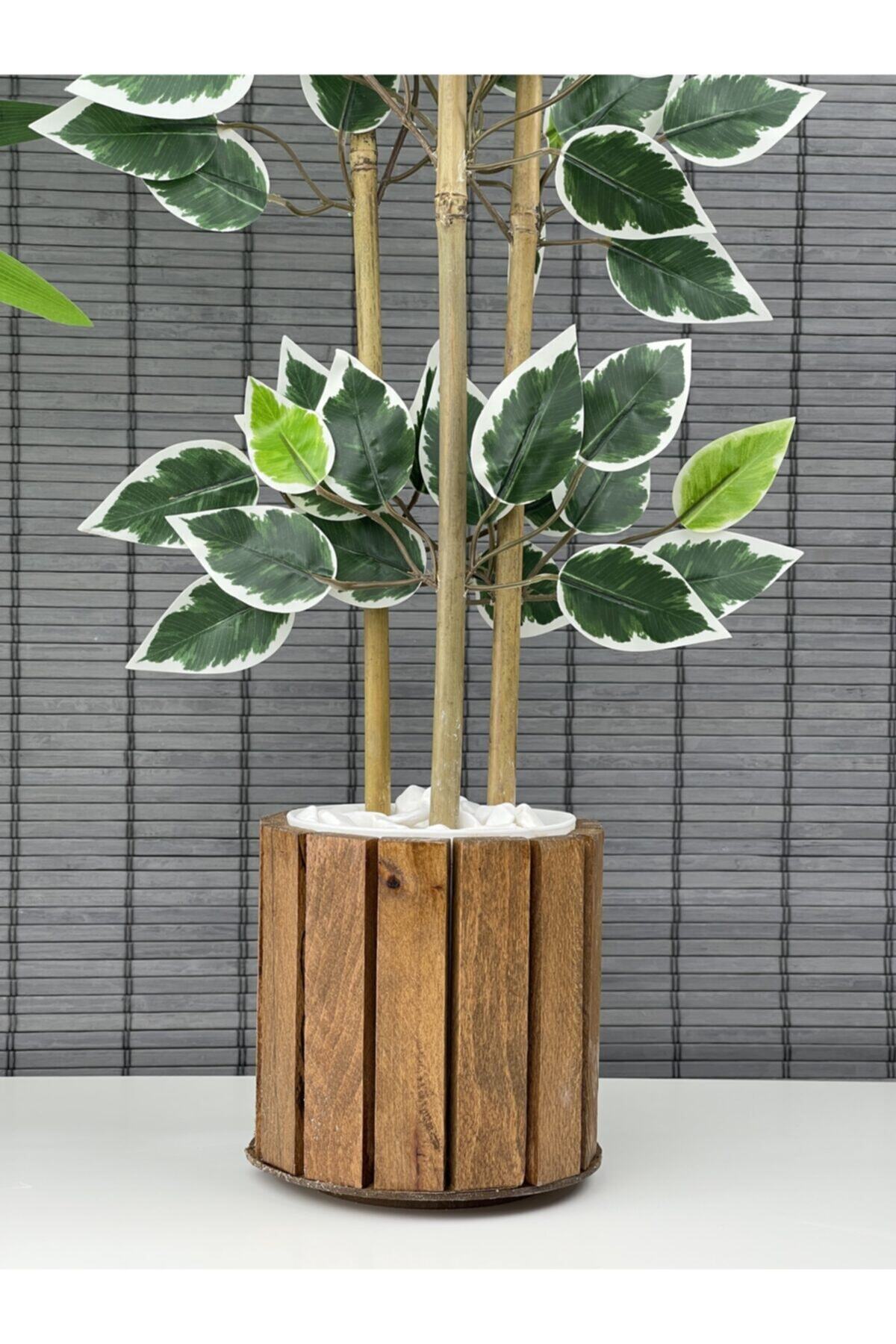 Bahçem Yapay Yoğun Yapraklı Dekoratif Benjamin Ağacı Ahşap Saksılı ...
