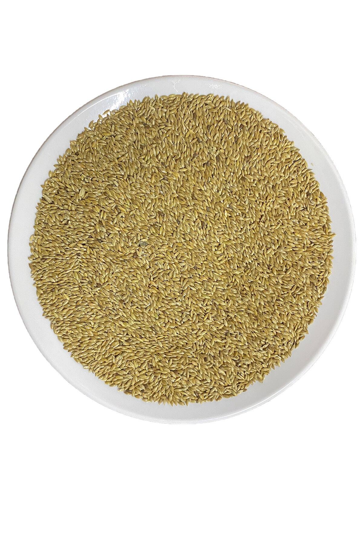 aktarix 5 Kg Sade Aspur Kanarya Kuş Yemi - Muhabbet Kuşu - Papağan Saka ...