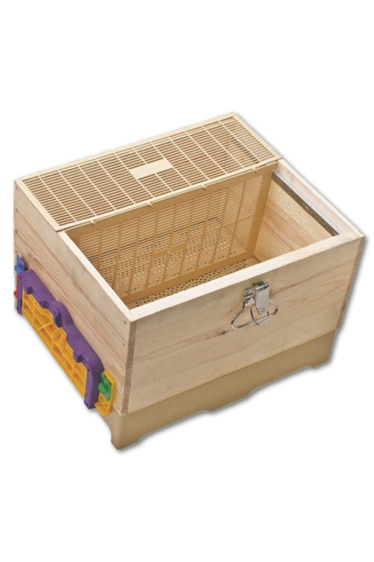 istanbul petek Menteşeli Ana Hapis Fiyatı, Yorumları - Trendyol