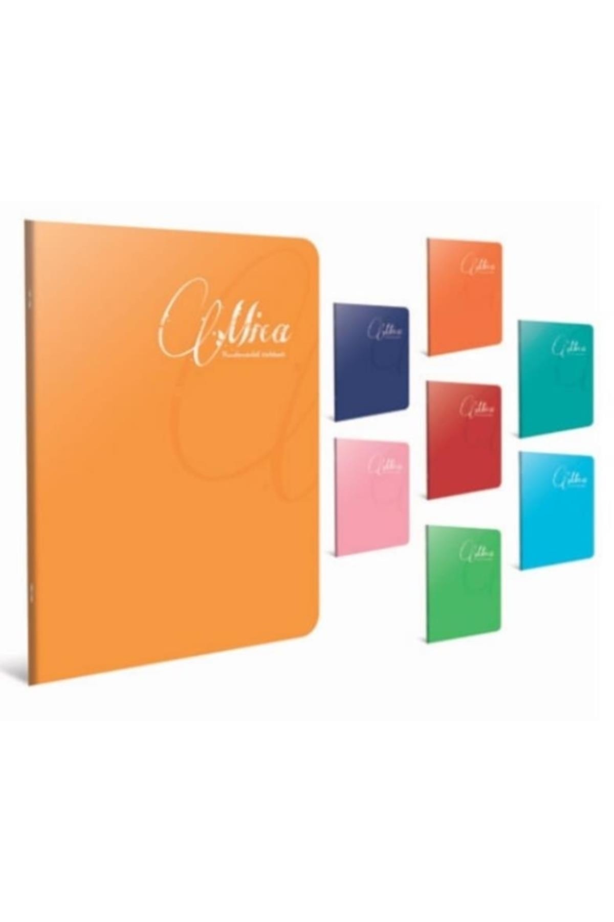 Gıpta Marka: Gipta Mica A4 80 Yp Çizgisiz Plastik Kapak Defter 2972 ...