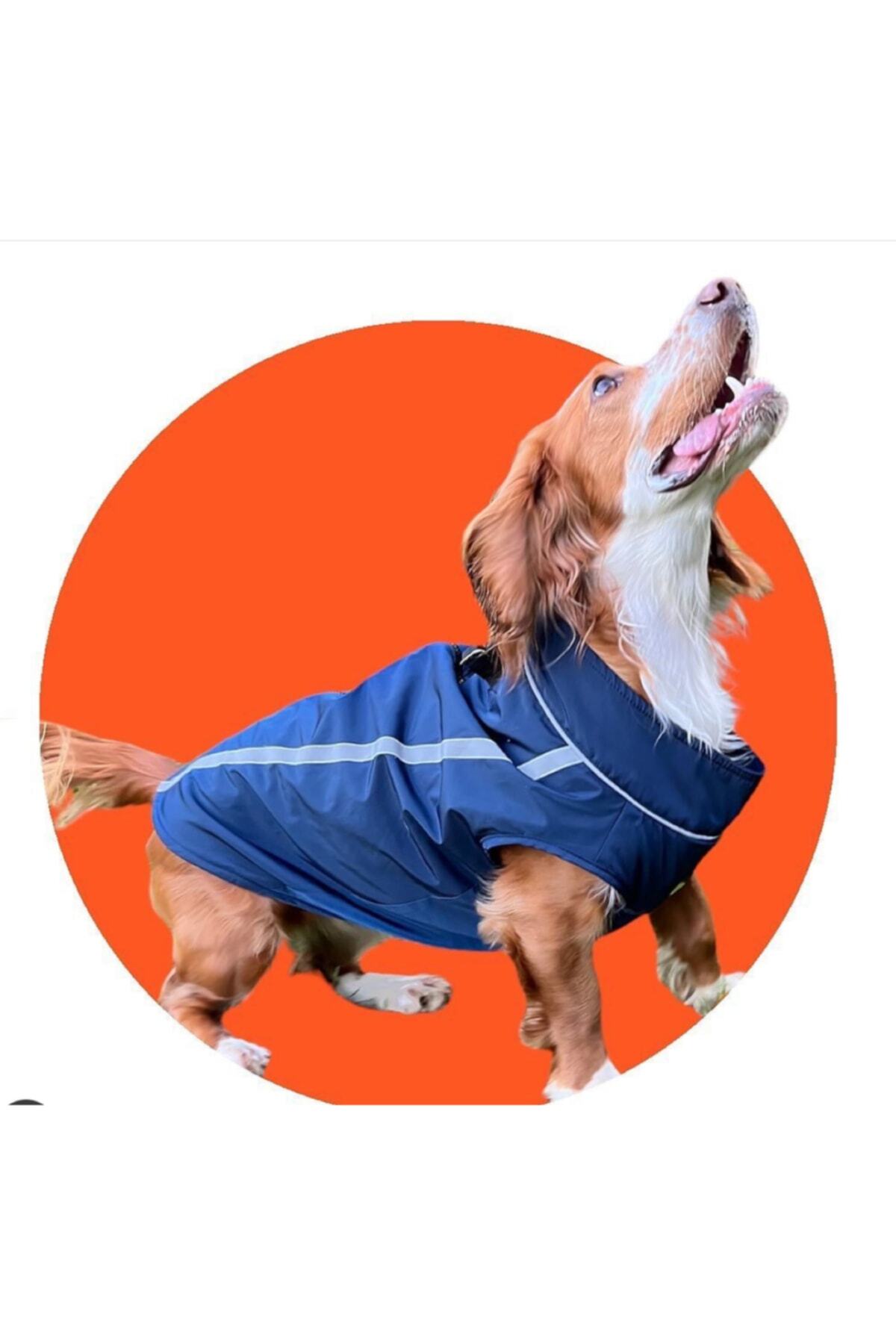 Zubi Dogs Zubirain / Su Geçirmeyen Polar Astarlı Köpek Yağmurluğu ...