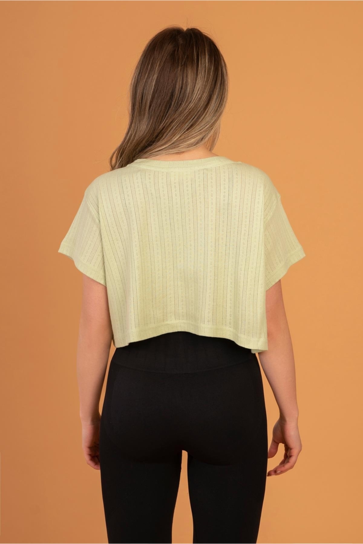 Woof Gym 3d Woof Print Crop Top Soft Green Fiyatı, Yorumları - Trendyol