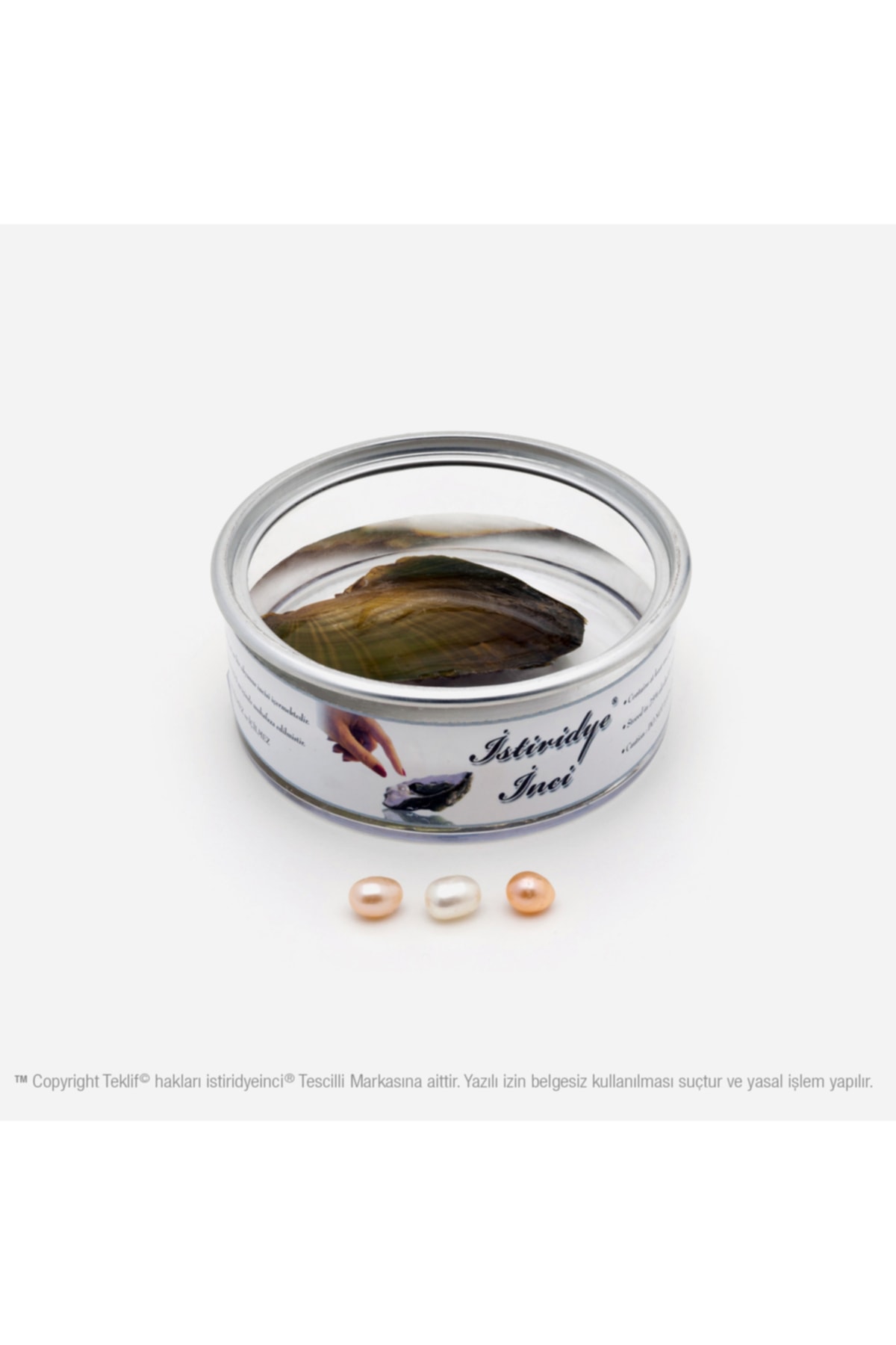 İstiridye İnci Gerçek Istiridyede Tatlı Su Incisi Okyanusun Işığı ...