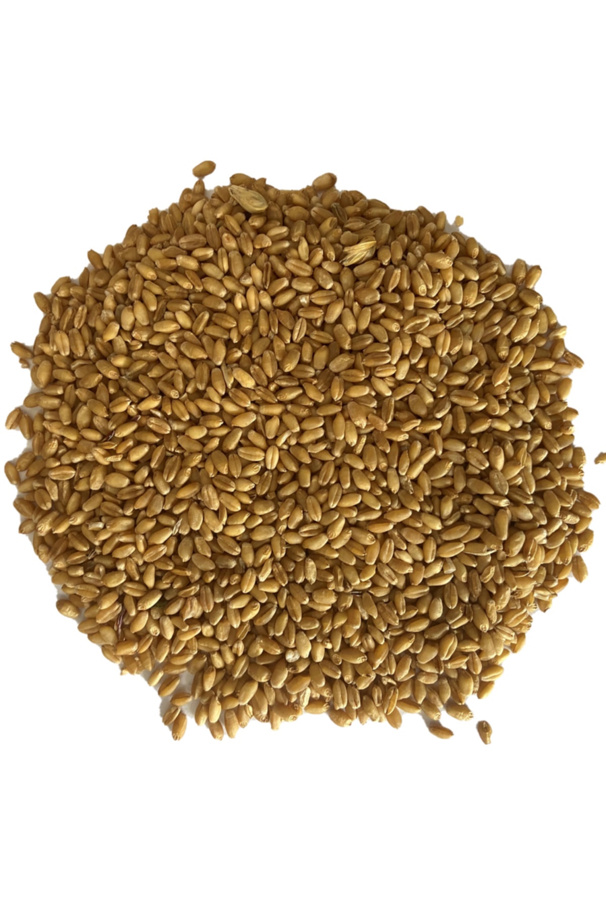 BİGA MURAT GIDA Yemlik Buğday 15 Kg -kuş-tavuk-kaz-ördek-güvercin ...
