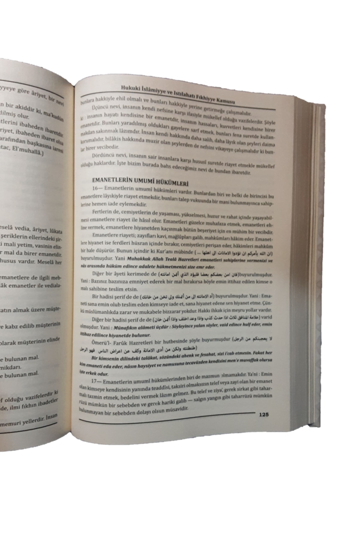Rabbani Yayınevi Hukuk-i Islamiyye Ve Istılahat-ı Fıkhiye Kamusu (8 KİTAP 4 CİLT'DE) (İTHAL ...