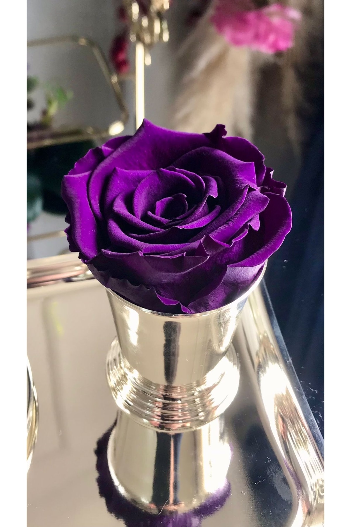 MELT HOME DESİGN Mor Solmayan Ekvator Gülü Fiyatı, Yorumları - Trendyol