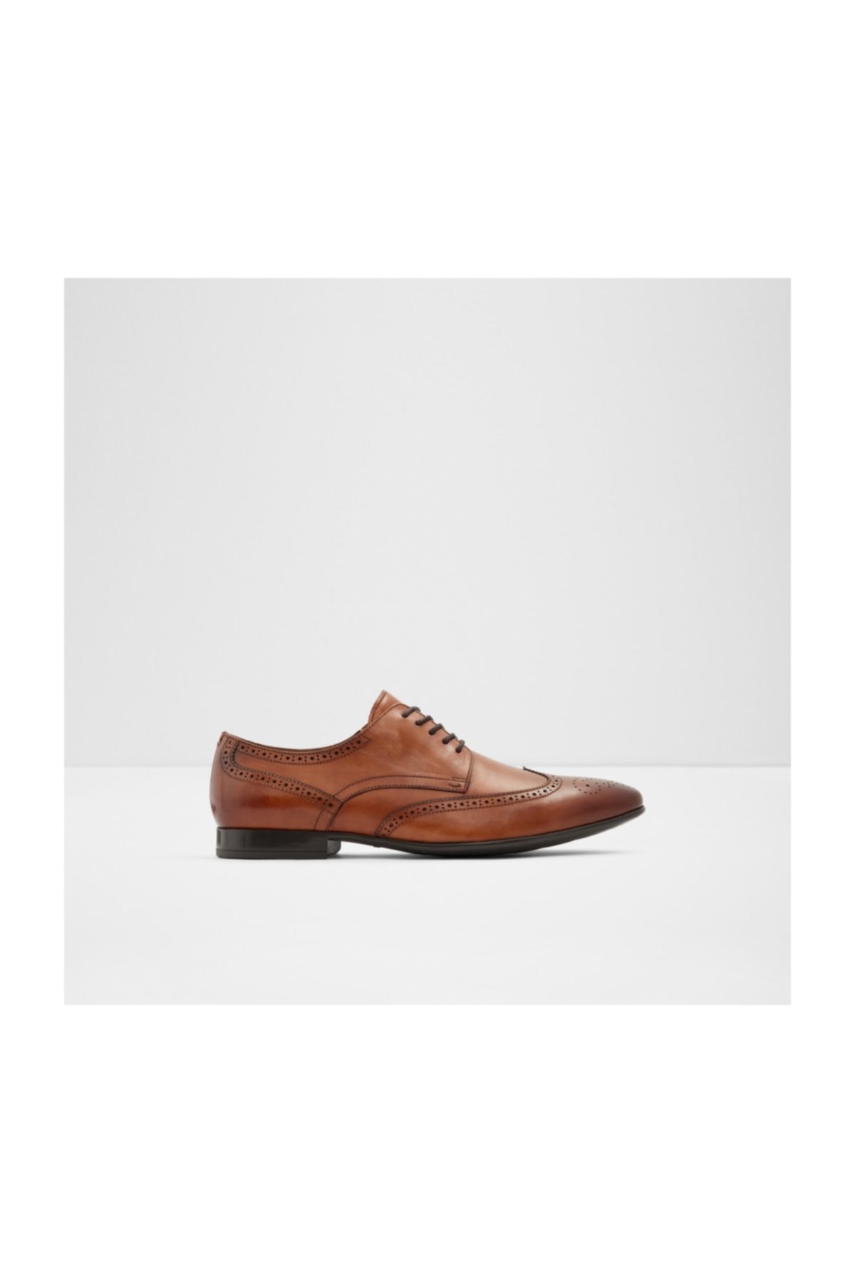 Aldo NILIDIEN - Taba Erkek Oxford & Loafer Ayakkabı Aldo NILIDIEN - Taba Erkek Oxford & Loafer Ayakkabı