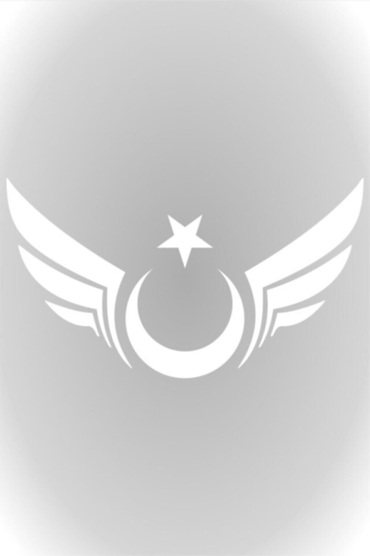 TSC White Winged Moon Star Sticker Auto Car Sticker- Trendyol