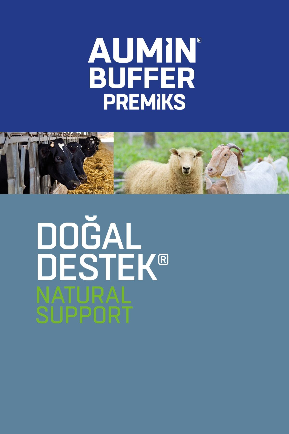 AUMIN Buffer 25 Kg - Rumen Ph Tamponlayıcı - Sığır, Koyun, Keçi -yem ...