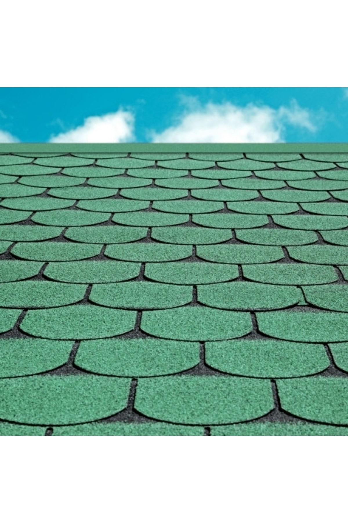 Genel Markalar SHINGLE YEŞİL GÖLGELİ Şıngıl - Fiyatı, Yorumları