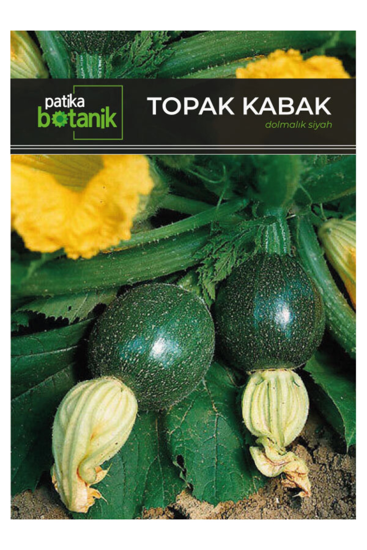 Patika Botanik 30 Adet Topak Kabak Tohumu Fiyatı, Yorumları - Trendyol