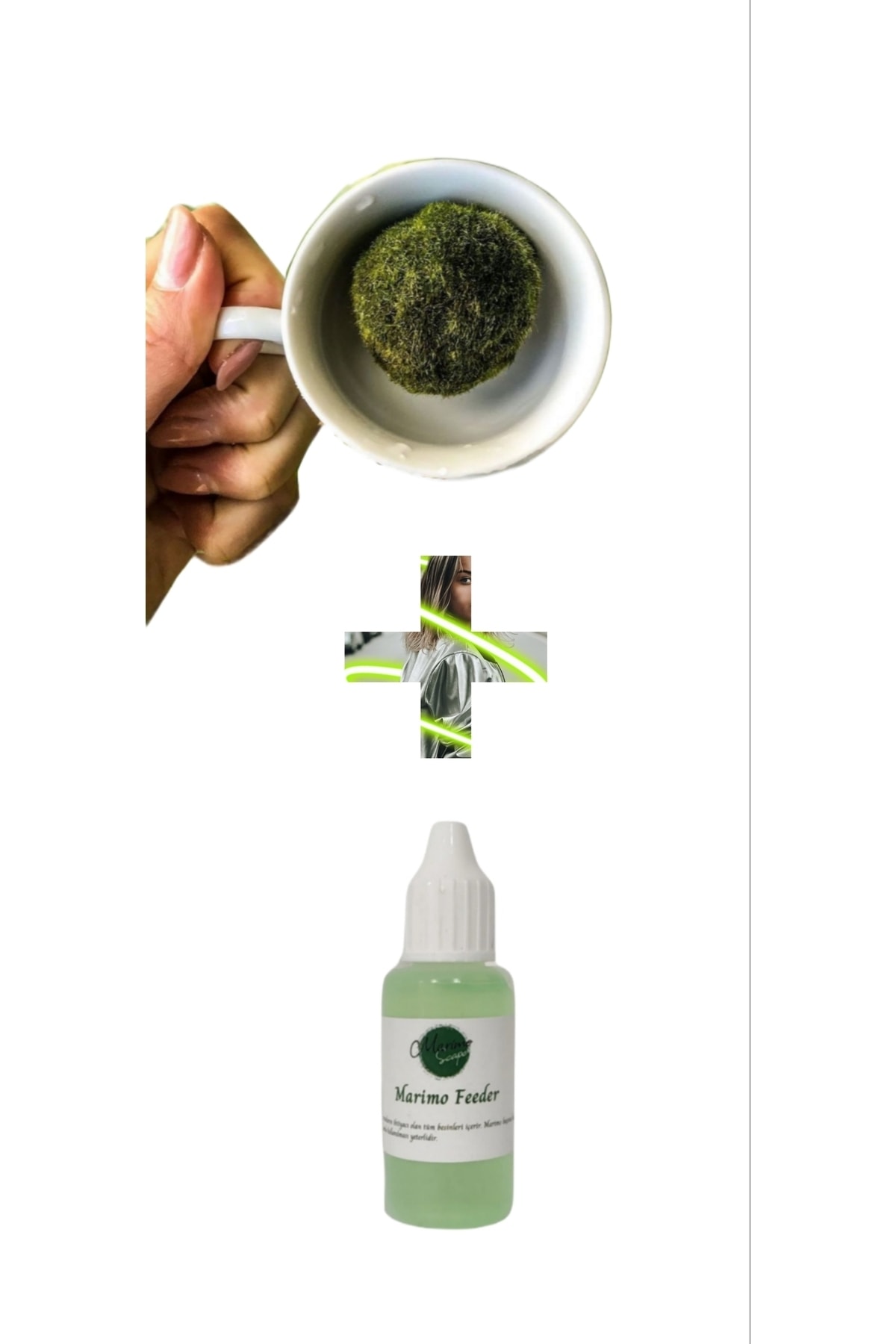 İyişans Marimo Marimo Ve Marimo Feeder Set Şans Getiren Marimo Büyütme ...