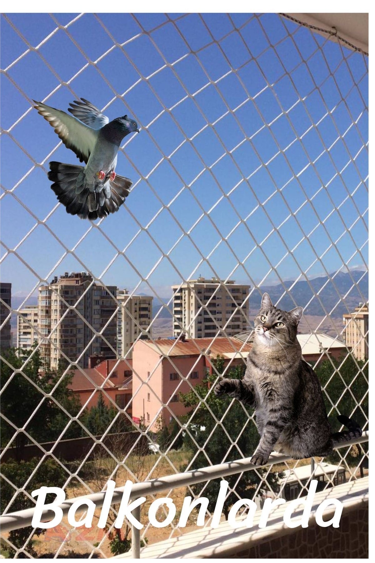Azmtürkiye Kuş Filesi 1,5x6 Metre Balkon Sera Kuş Kedi Güvercin Önleme ...