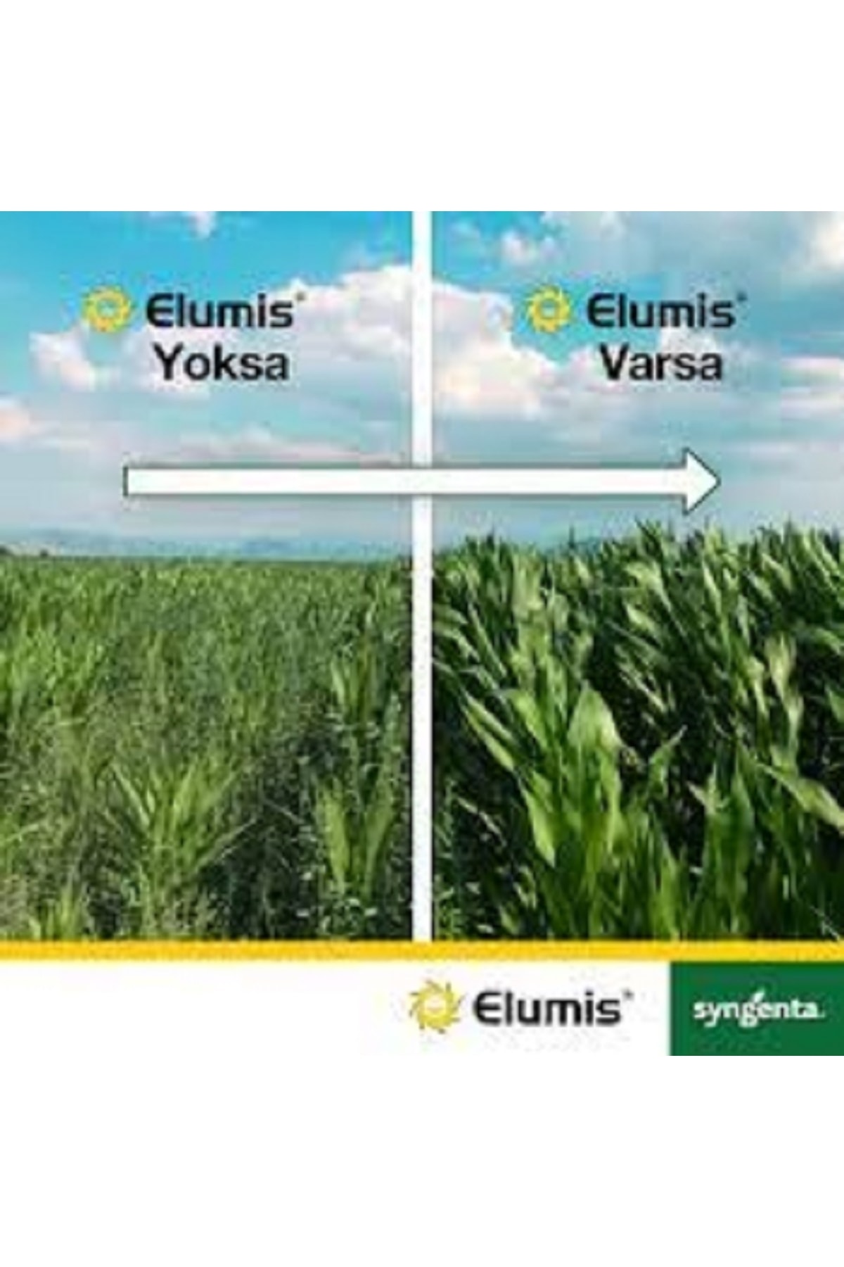 syngenta Elumis - Fiyatı, Yorumları