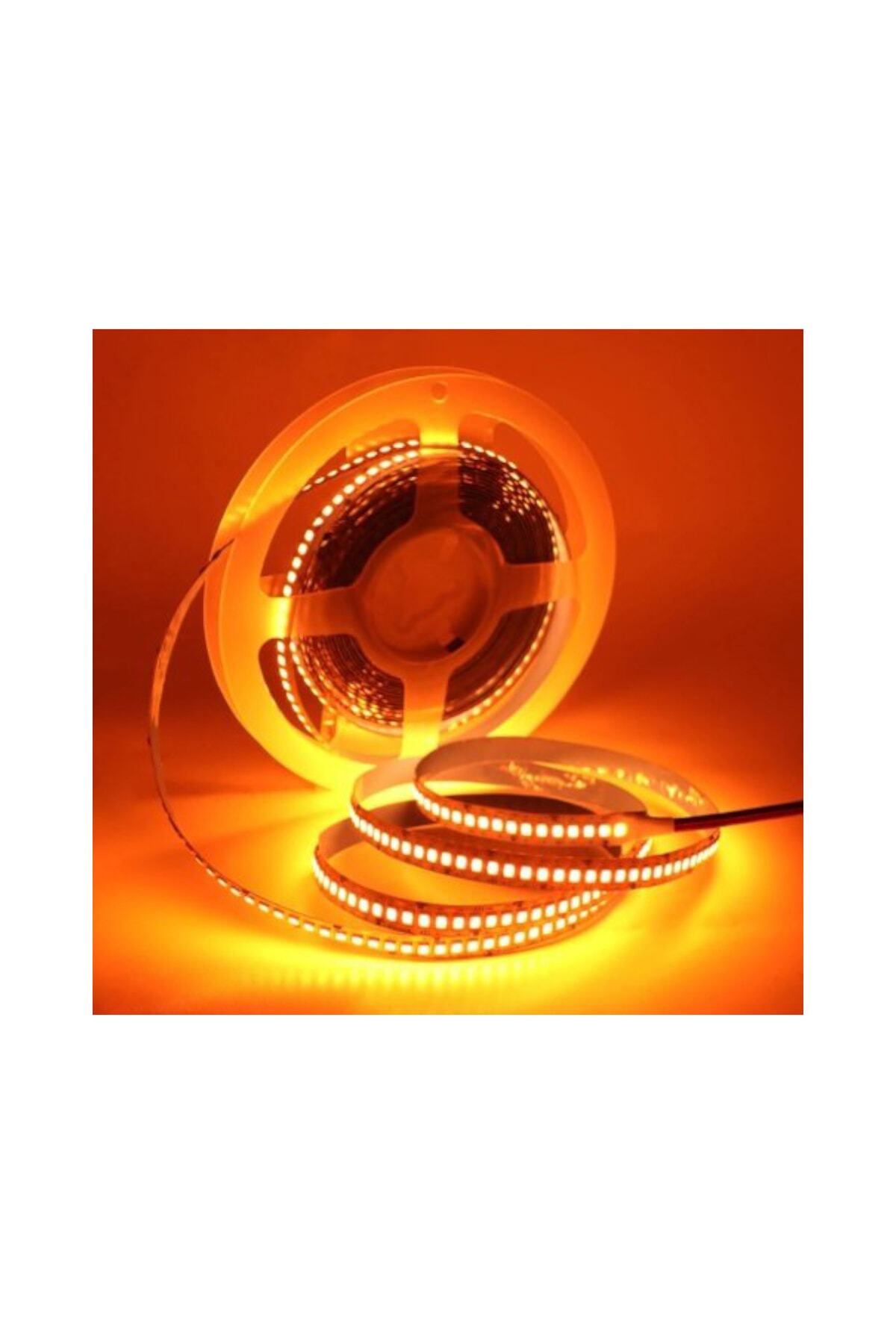 Tamer Elektrik Cata Gold Iç Mekan 12w 240 Çipli Yüksek Lumen Şerit Led ...