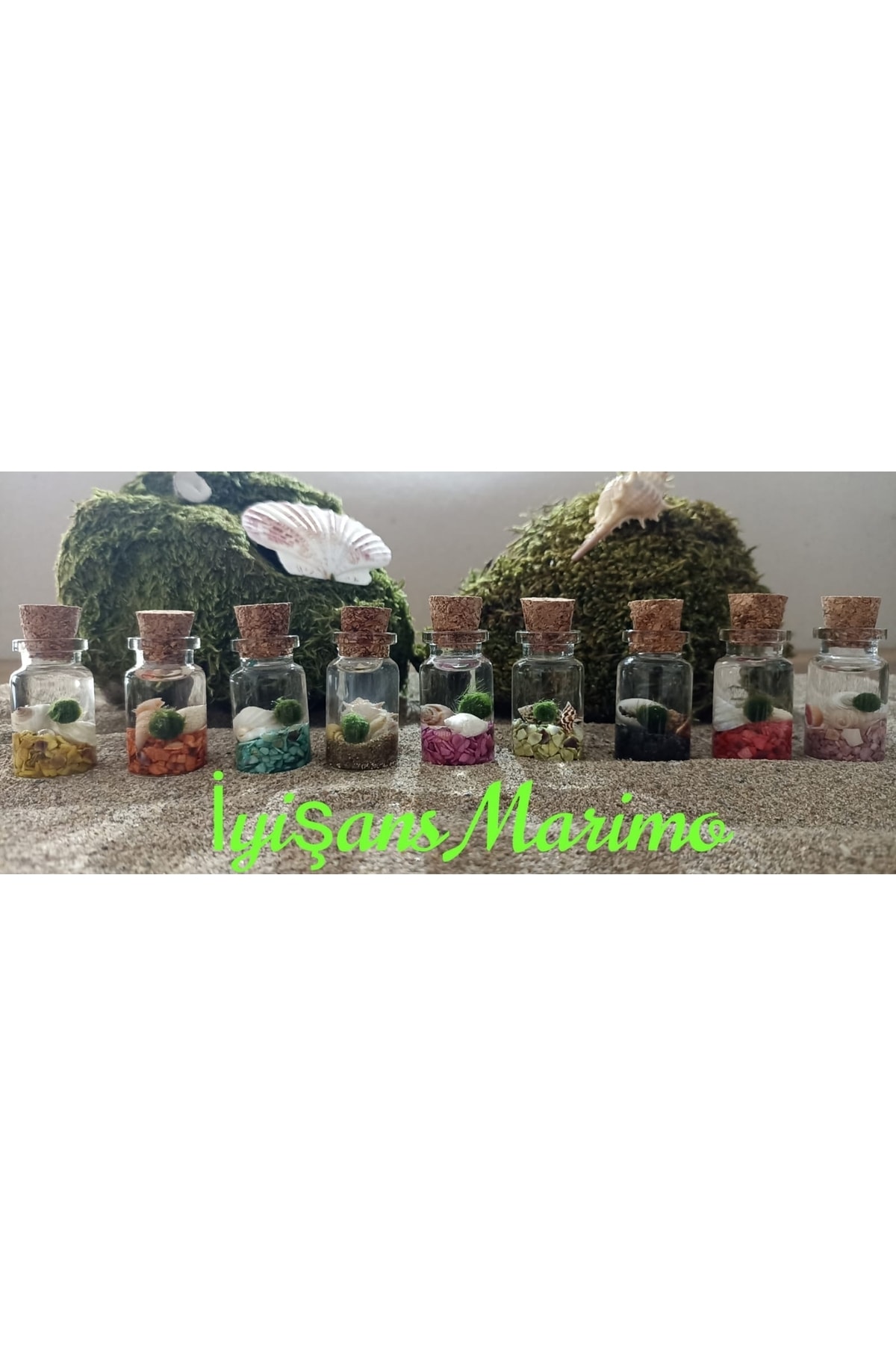 İyişans Marimo Şans Kazandıran Marimo Şans Yosunu Canlı Teraryumu ...