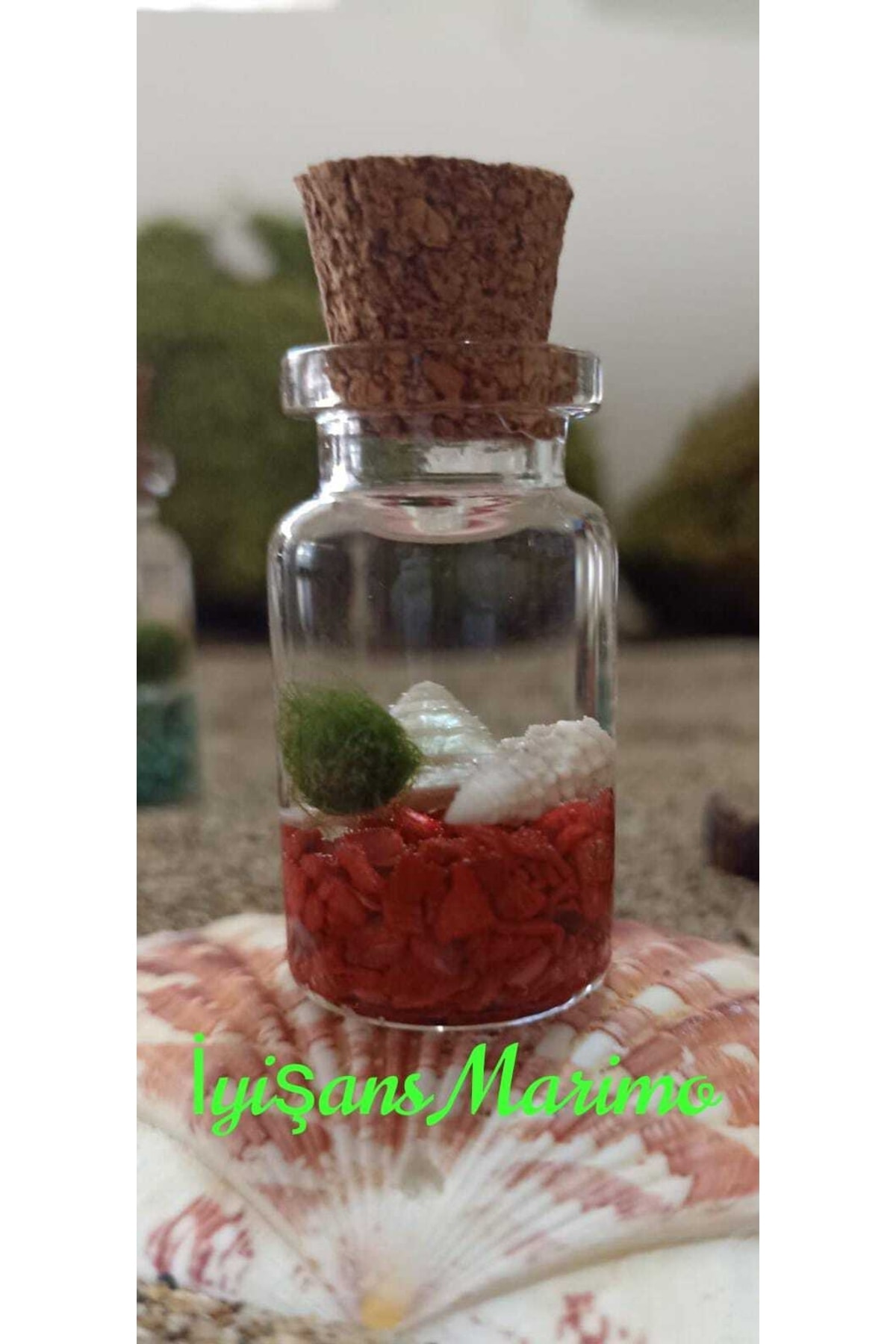 İyişans Marimo Şans Kazandıran Marimo Şans Yosunu Canlı Teraryumu ...