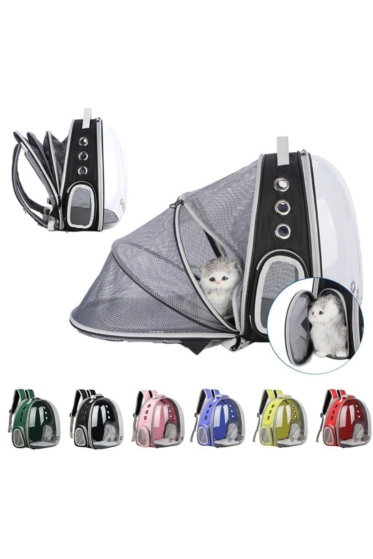 WONDi Kedi Taşıma Çantası Şeffaf Fileli Astronot Fiyatı, Yorumları ...
