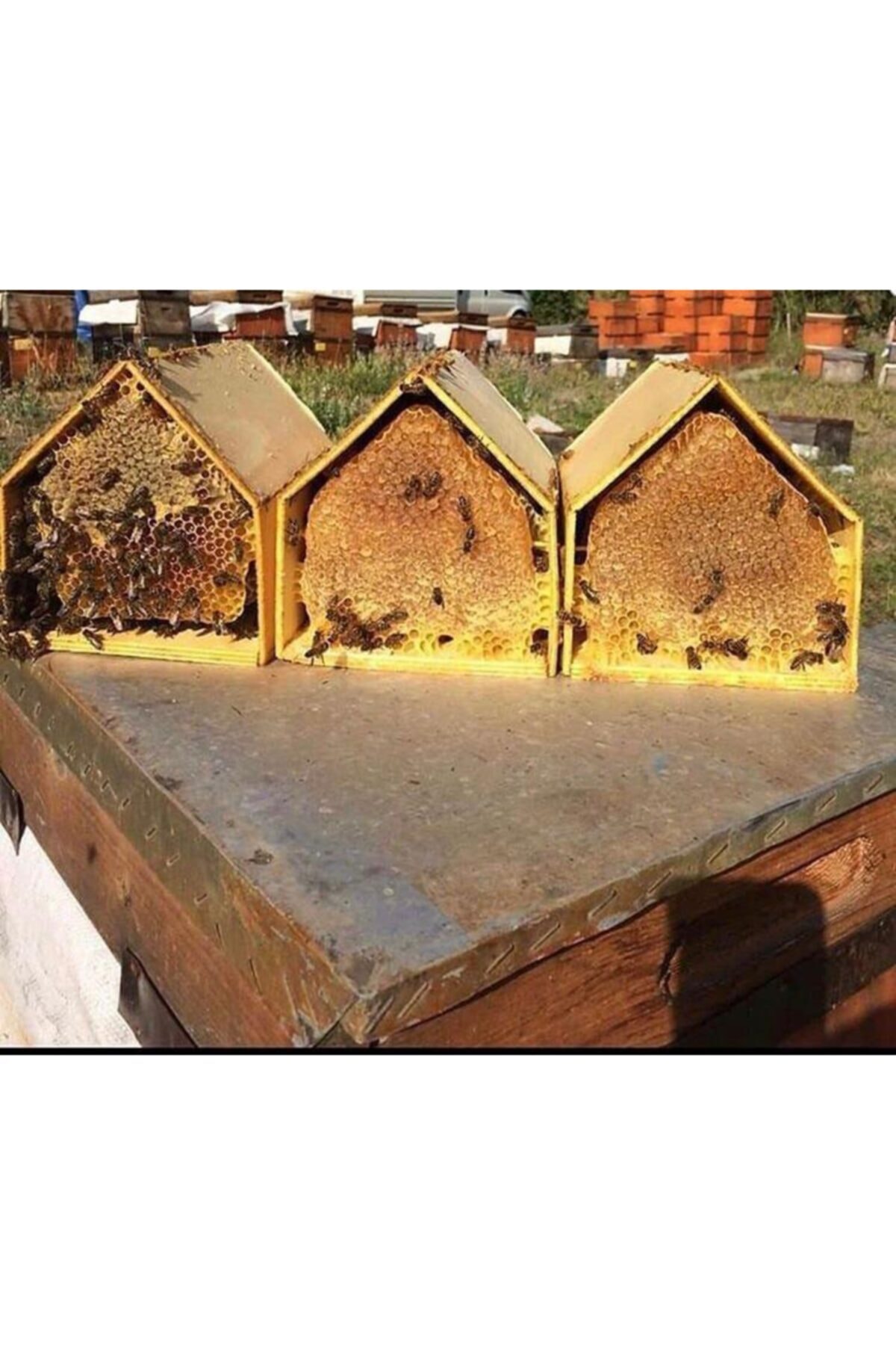 BALCI SEMİH Kütük Karakovan Balı 2,5 Kg Fiyatı, Yorumları - Trendyol