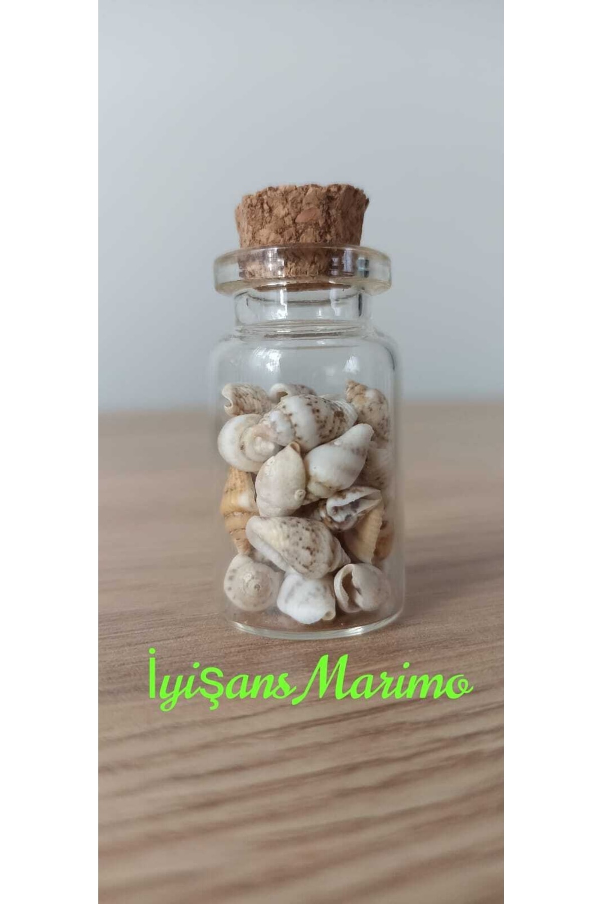 İyişans Marimo Mini Deniz Kabukları 30 Ad. Fiyatı, Yorumları - Trendyol