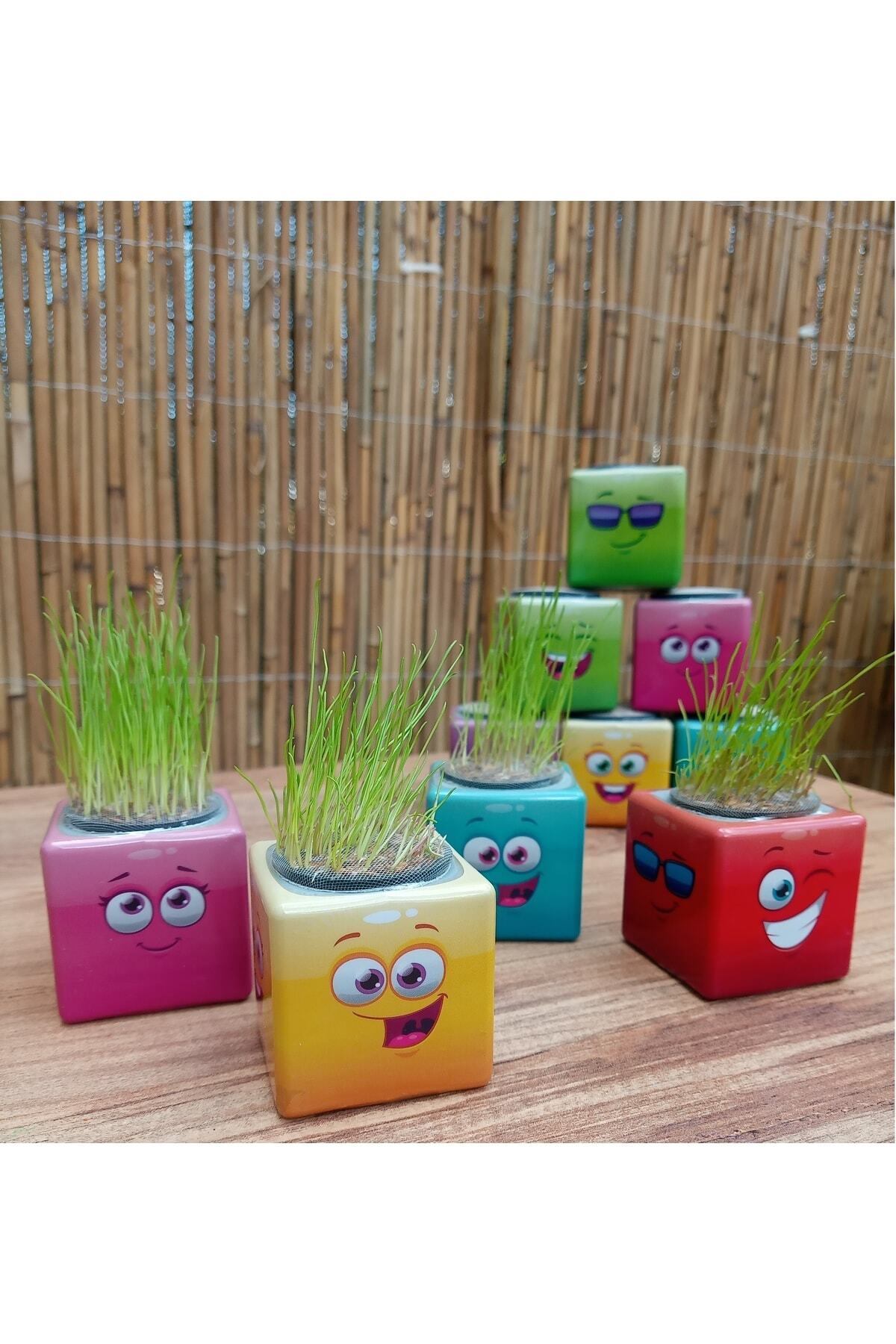 Çimoji Wren Shop Emoji Figür Midi Küp Çim Adam 24 Adet Doğum Günü Ve ...