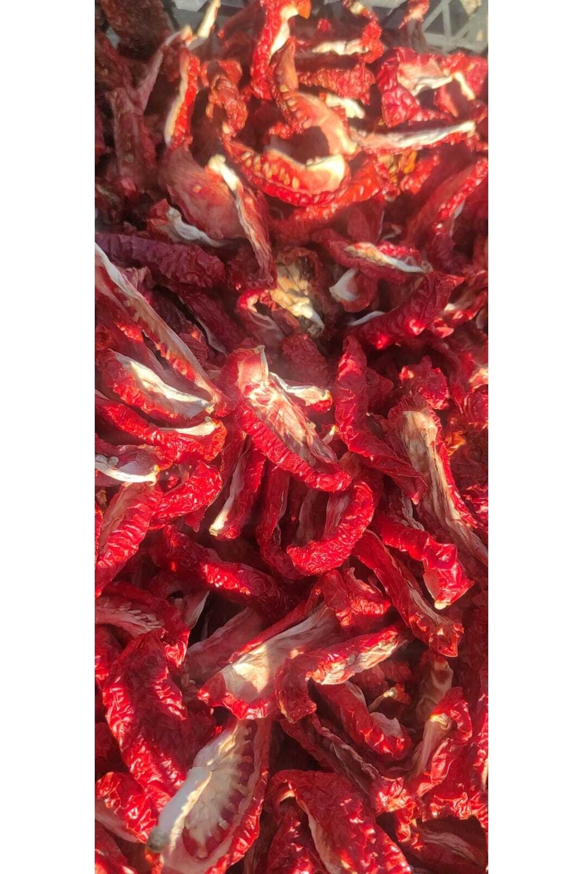 SARILAR Domates Kurusu 150 Gr Fiyatı, Yorumları - Trendyol