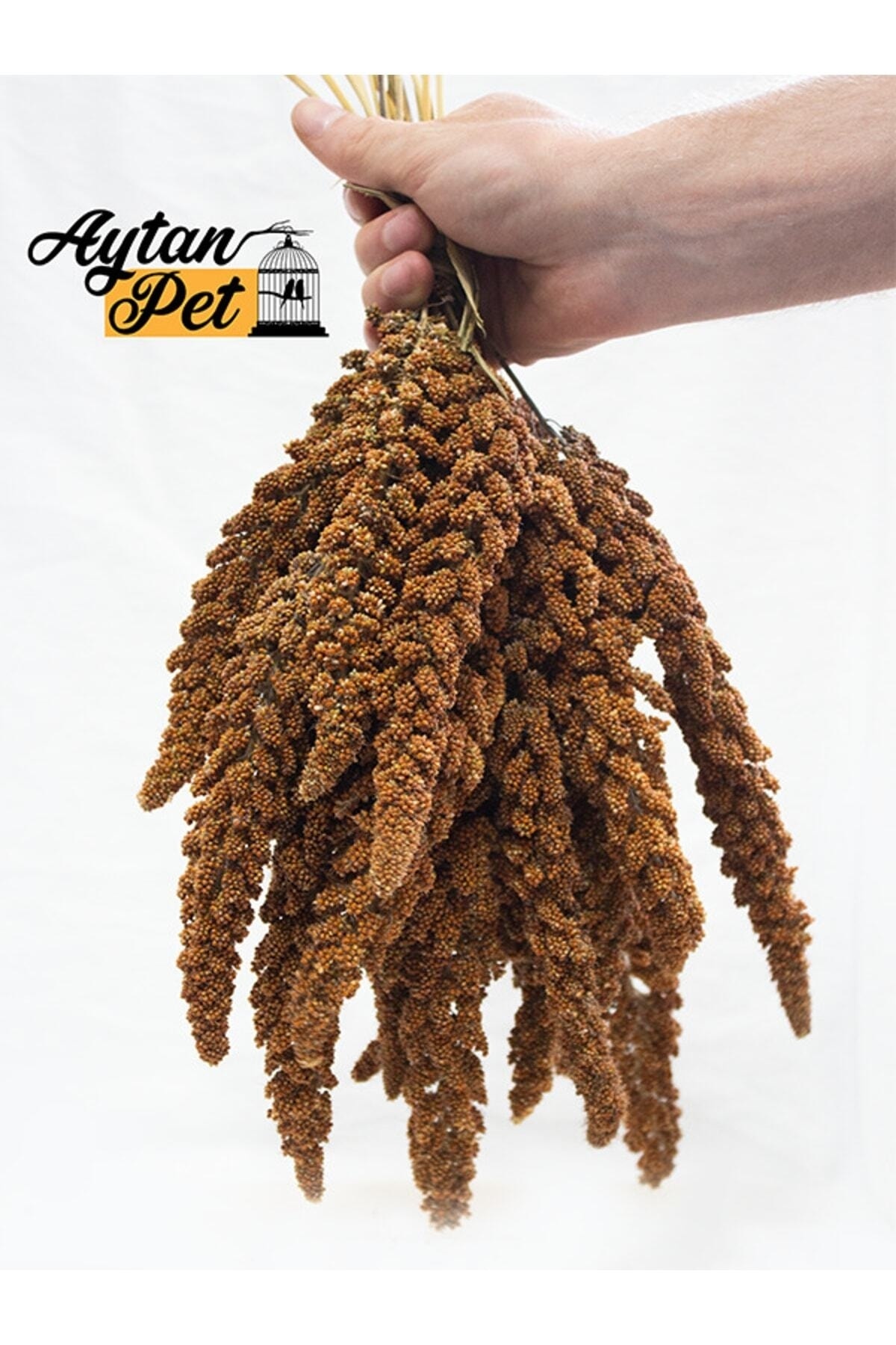 Aytan Pet Kızıl Dal Darı (tilki Kuyruk) 100gr Fiyatı, Yorumları - TRENDYOL