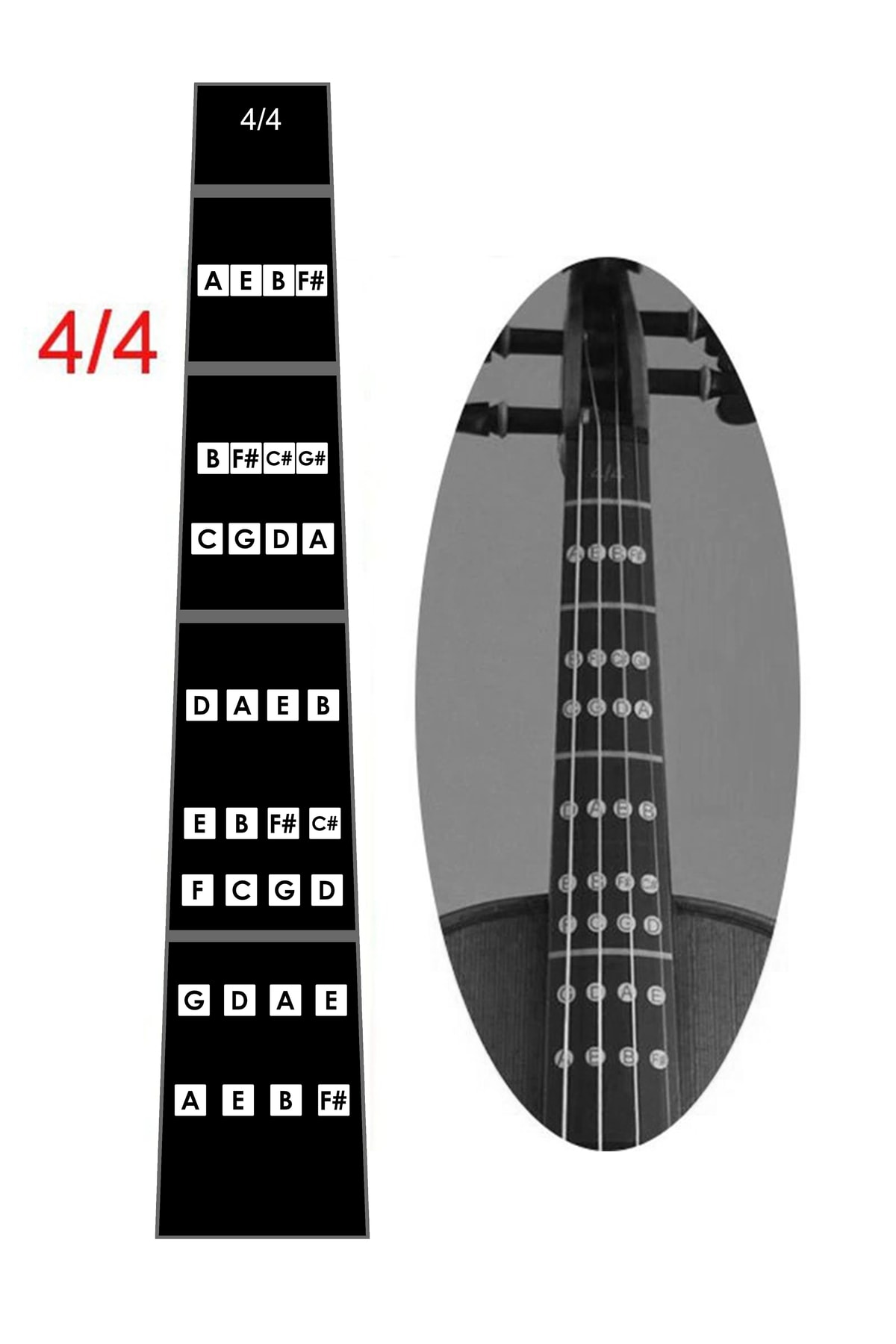 cantekin Keman Sticker Keman Nota Yerleri Latin Notalı 4/4 Kemanlar ...