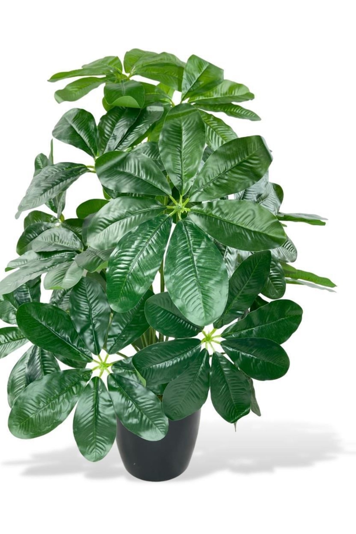 Nettenevime Yapay Çiçek Saksıda Şeflera Bitkisi 18dal 75cm Salon Çiçeği ...