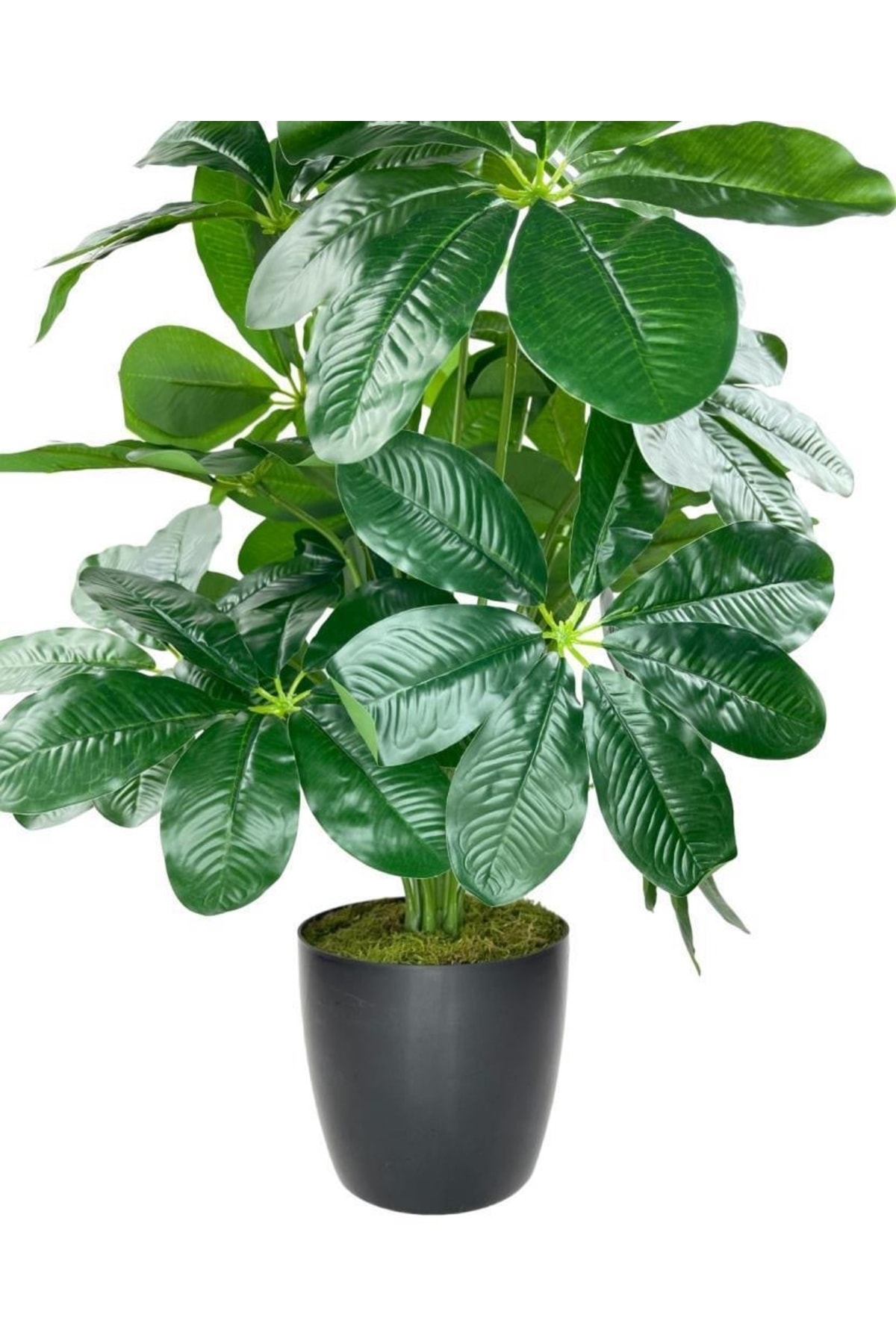 Nettenevime Yapay Çiçek Saksıda Şeflera Bitkisi 18dal 75cm Salon Çiçeği ...