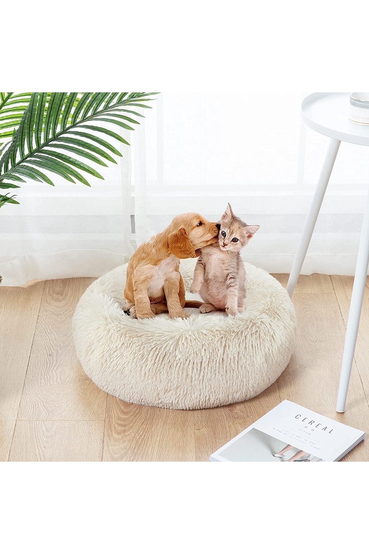 Genel Markalar Premium Yuvarlak Peluş Kedi Köpek Yatagı Orta Boy Simit ...