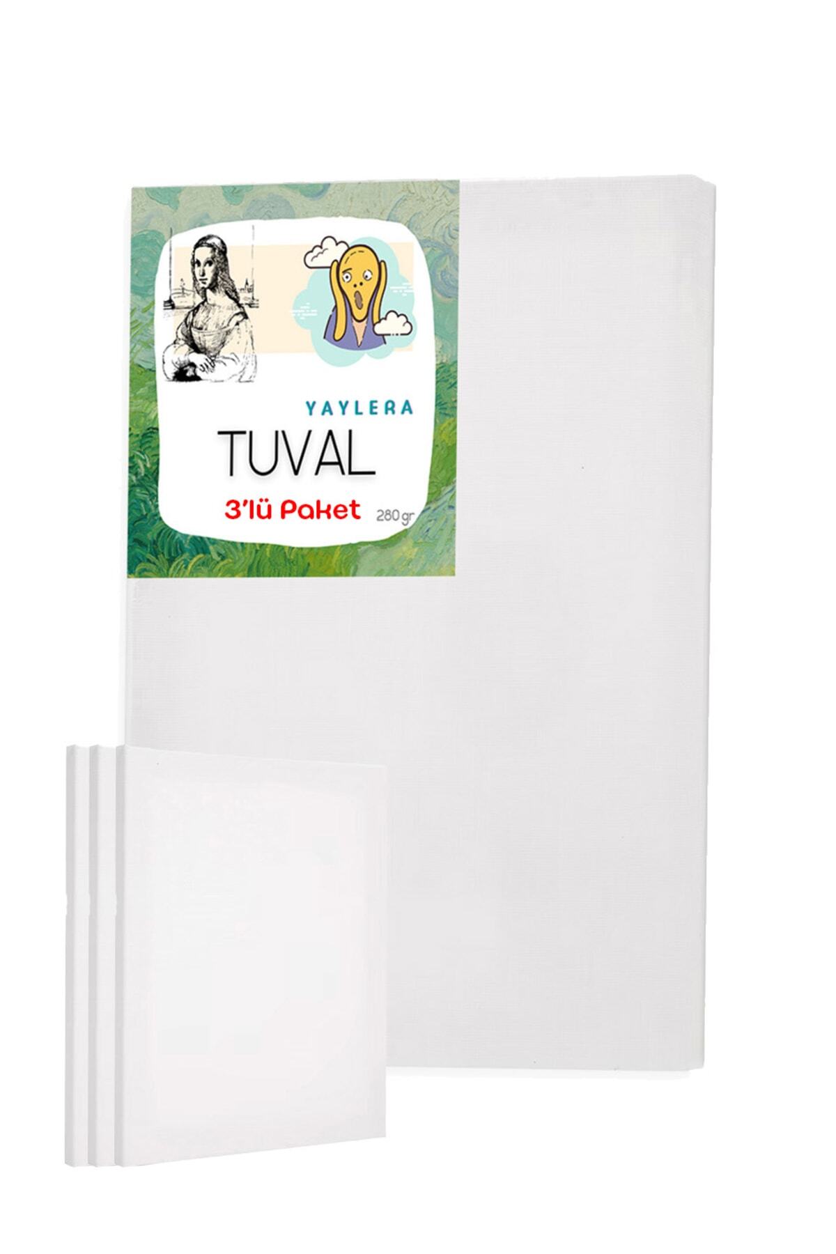 Yaylera Tuval Resim Tuvali T-001-3'lü 20 X 30 Cm Fiyatı, Yorumları ...