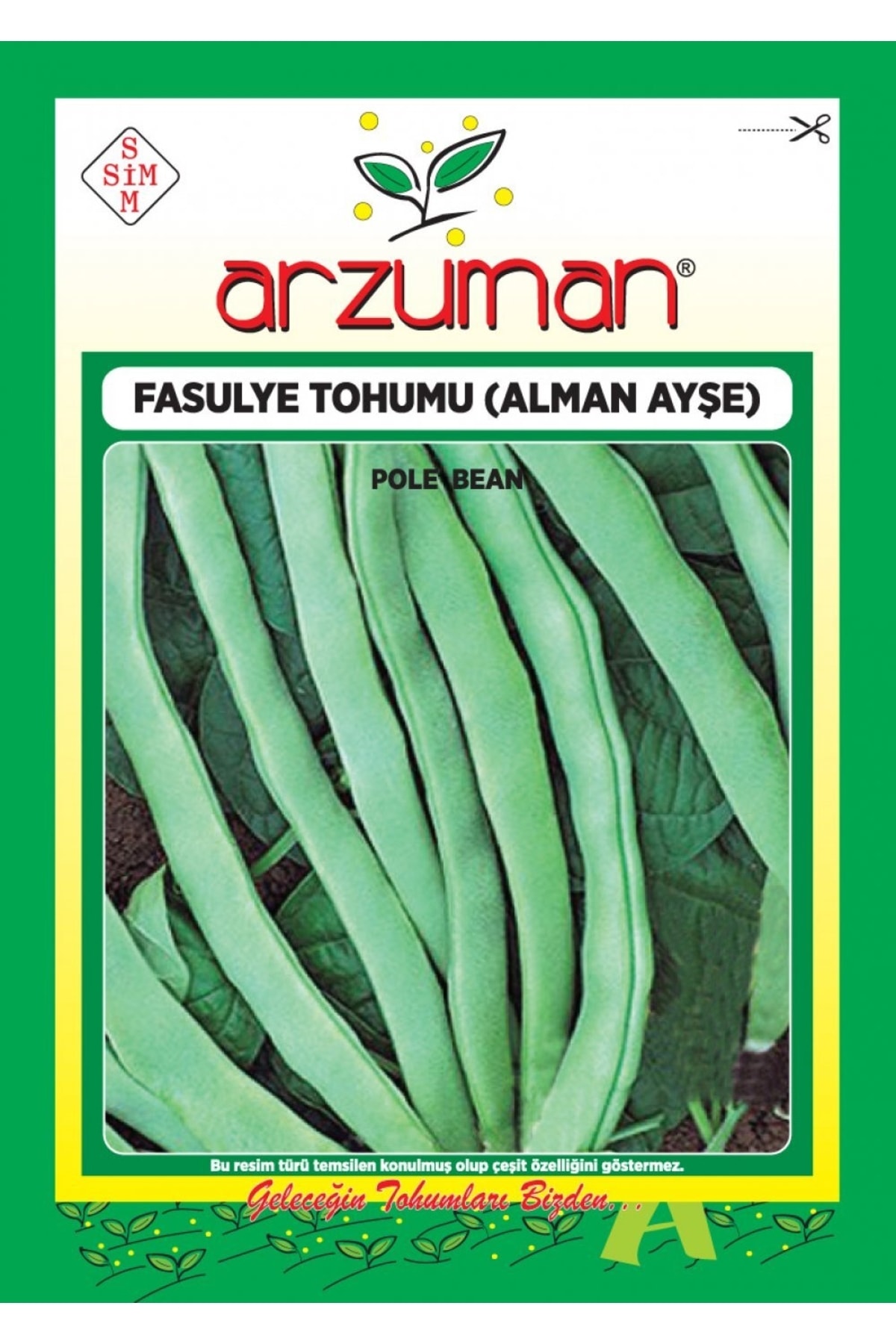 Arzuman Tohum Fasulye Tohumu ( Alman Ayşe ) Fiyatı, Yorumları - Trendyol