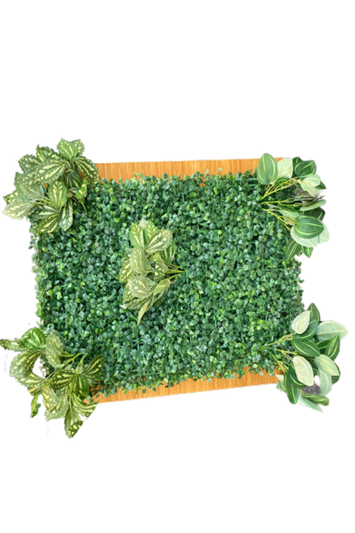 Restival Yapay Çiçek Duvar Kaplama Panel Şimşir 40*60 5demet Yeşil ...