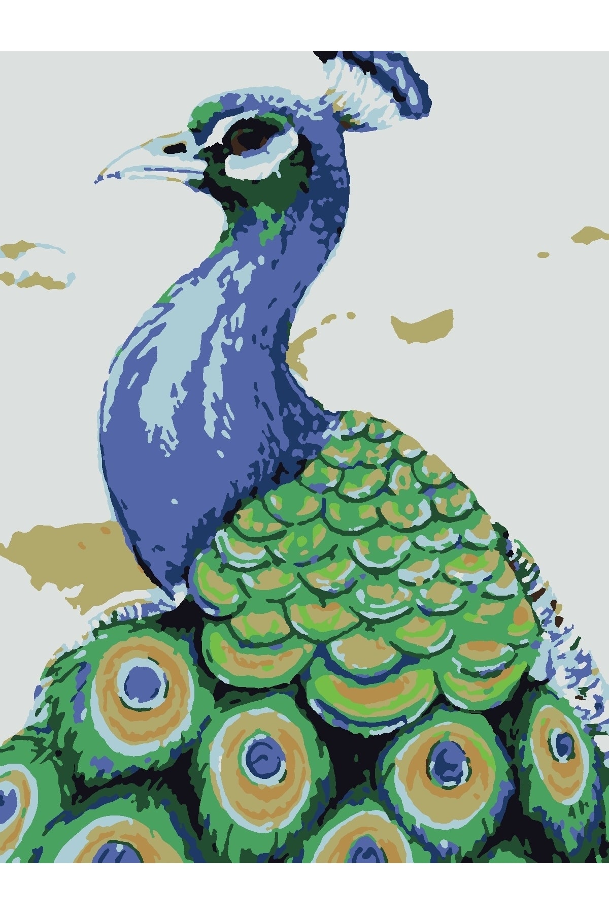 Gulcerenhobi Sayılarla Boyama Tuval Seti Tavuskuşu 30x40 (numaralı ...