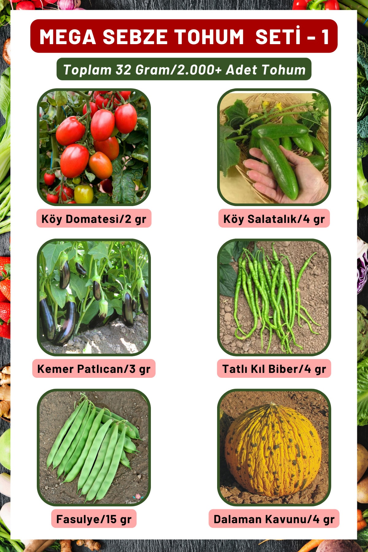 3A BOTANİK Mega Sebze Tohum Seti - 1, Toplam 32 Gram/2.000 Adet Sebze ...